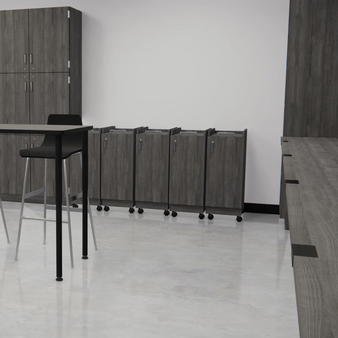 Cosmetology School Portable Styling Stations